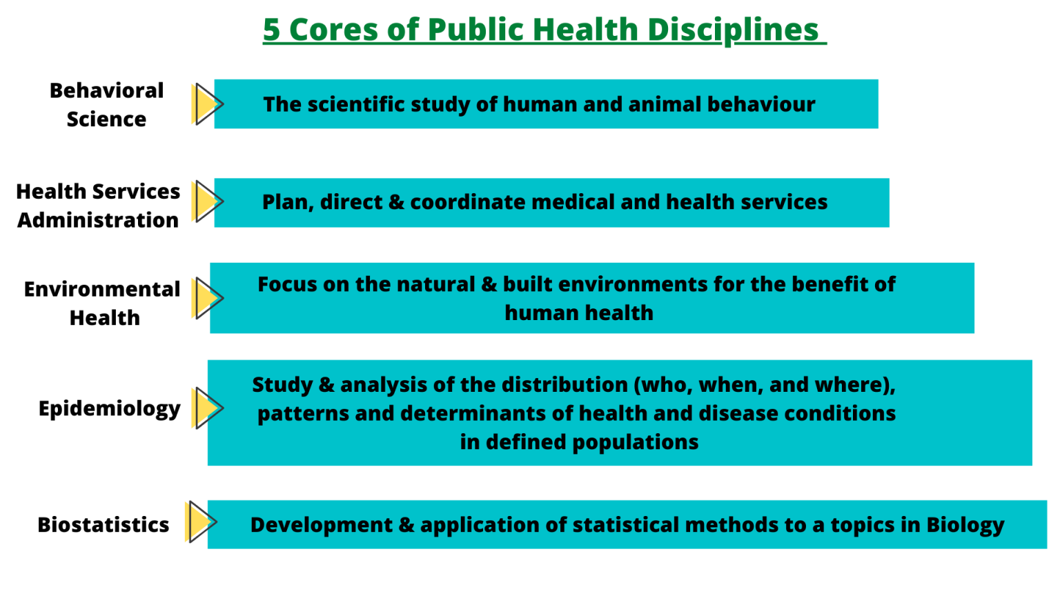 What is Public Health? Public Health Degrees & Careers in Australia ...