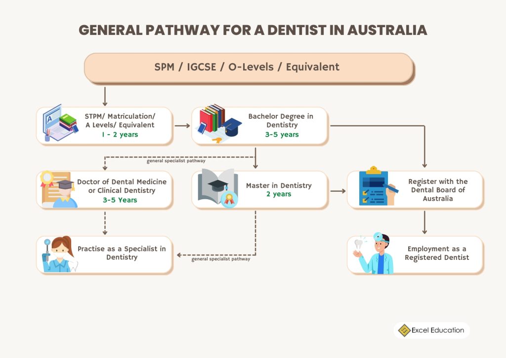 Top Universities to study Dentistry in Australia - Excel Education ...