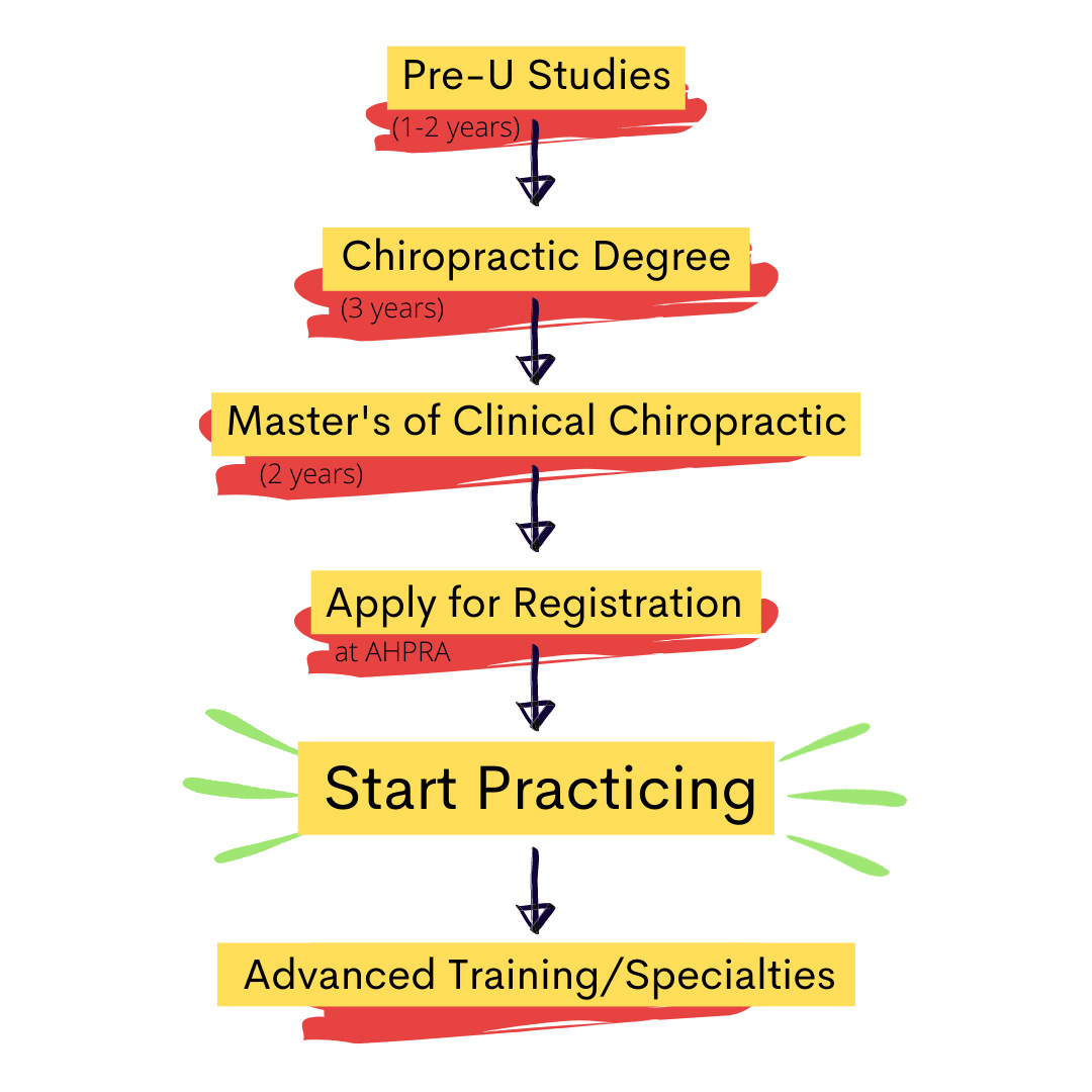 Study Chiropractic in Australia - Excel Education | Study in Australia ...
