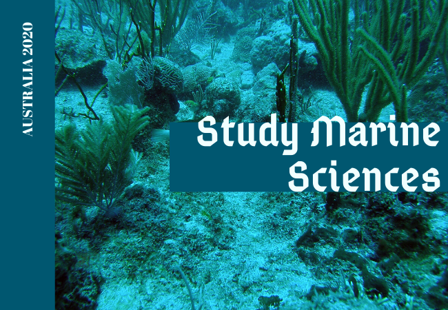 Study Marine Science in Australia - Excel Education | Study in ...